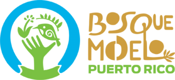Bosque Modelo de Puerto Rico capacita a mujeres de sus comunidades ...
